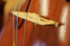 Why is My Stringed Instrument Buzzing and Rattling?