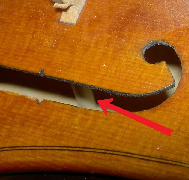 Why is My Stringed Instrument Buzzing and Rattling?